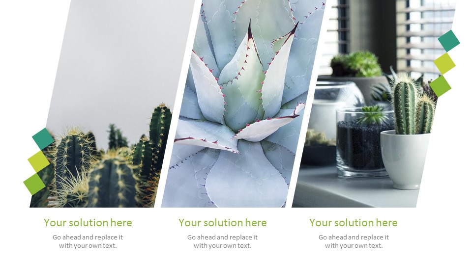 Cactus Google Slides Themes for Presentations