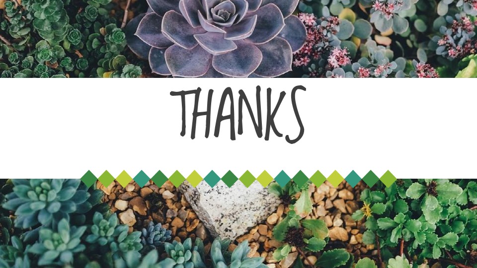 Cactus Google Slides Themes for Presentations