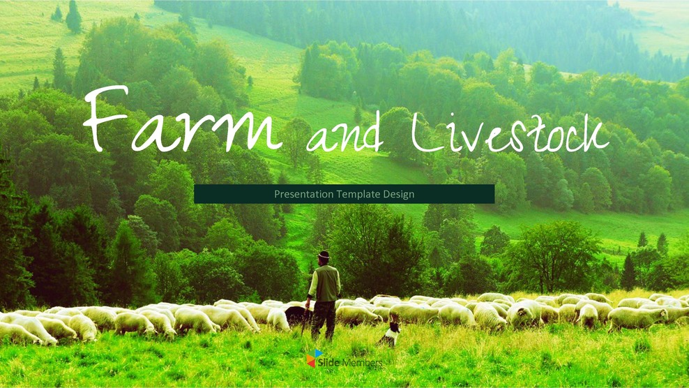 Farm and Livestock Google Slides Presentation