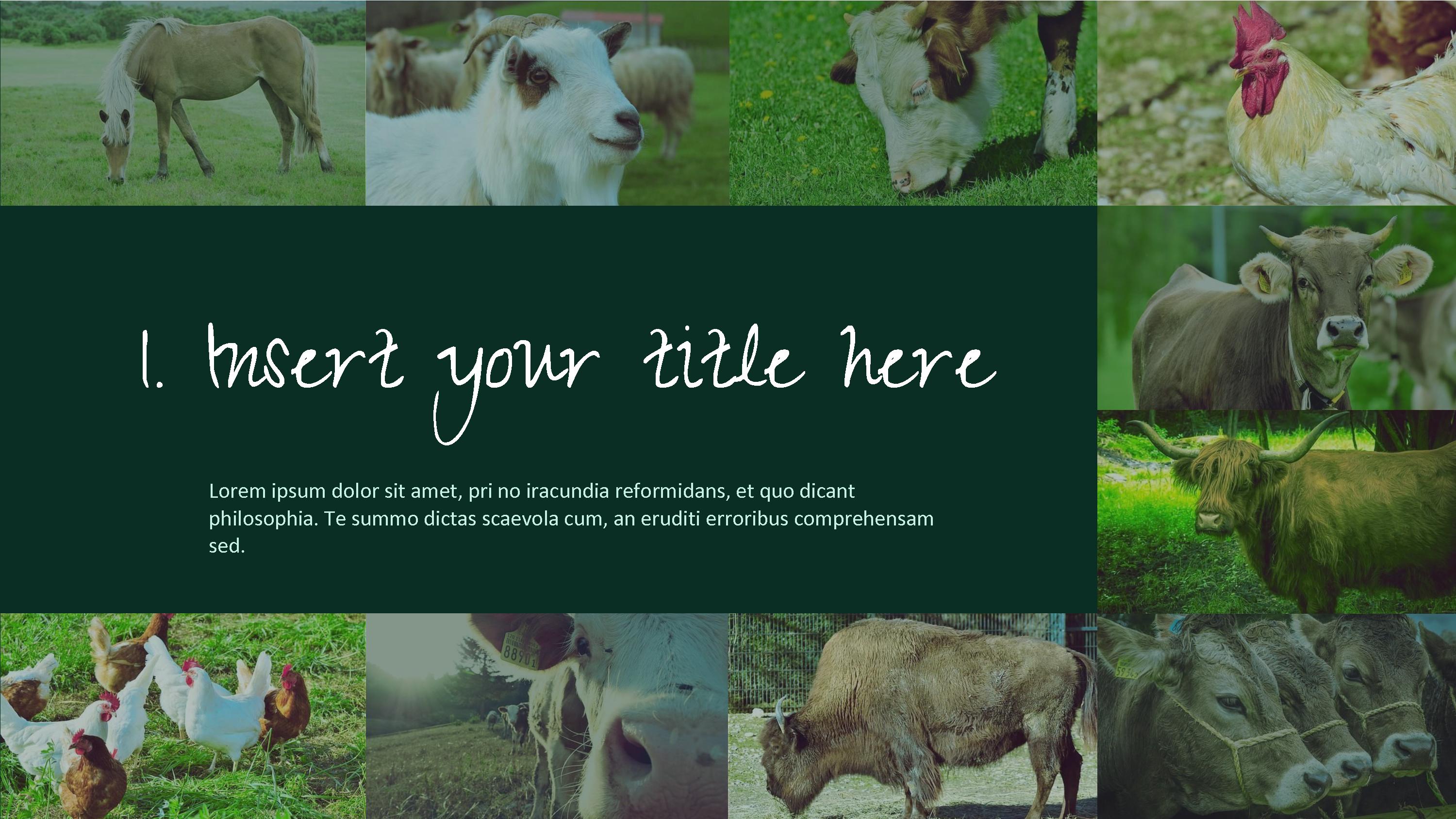 Farm and Livestock Google Slides Presentation