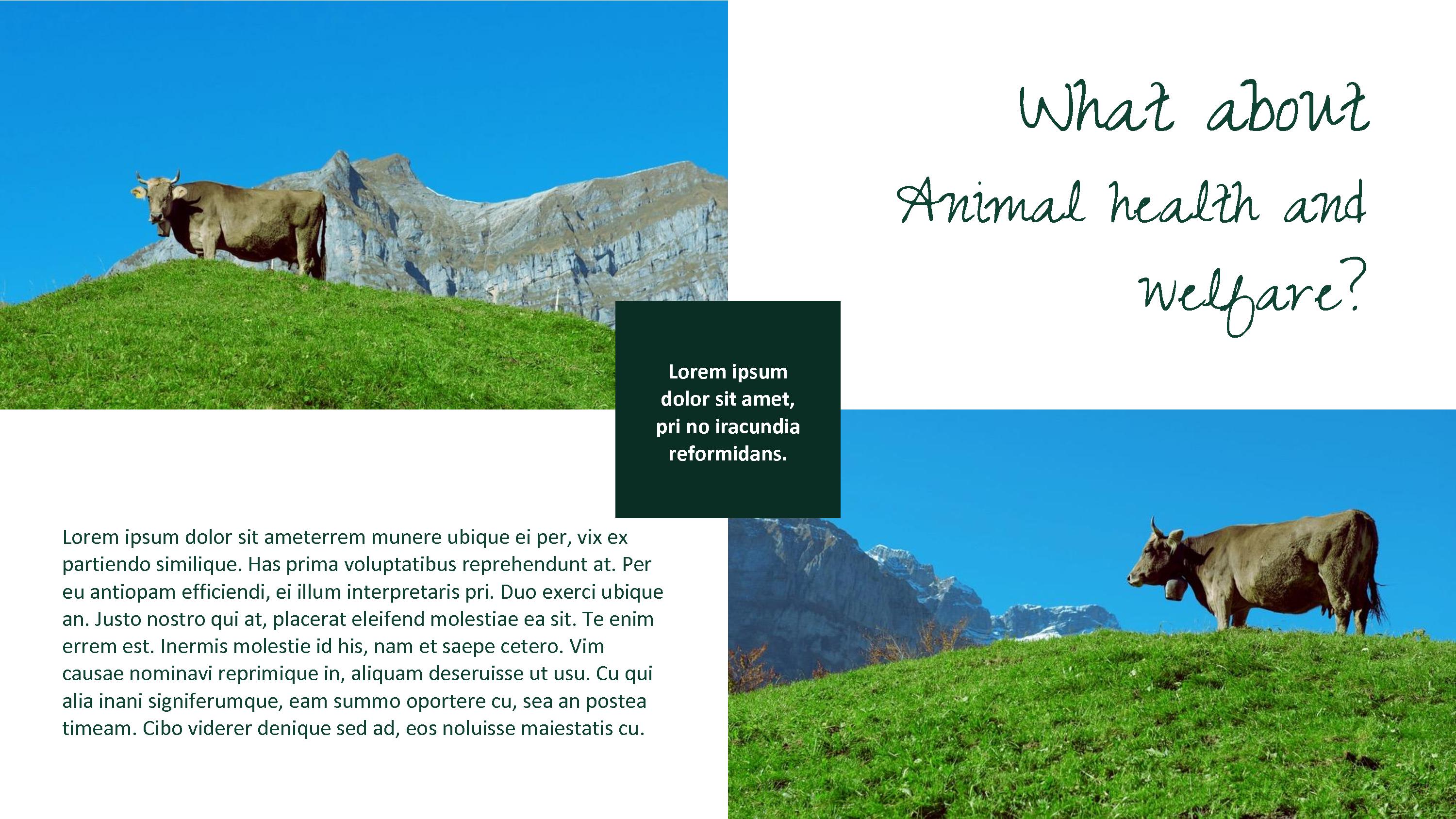 Farm and Livestock Google Slides Presentation