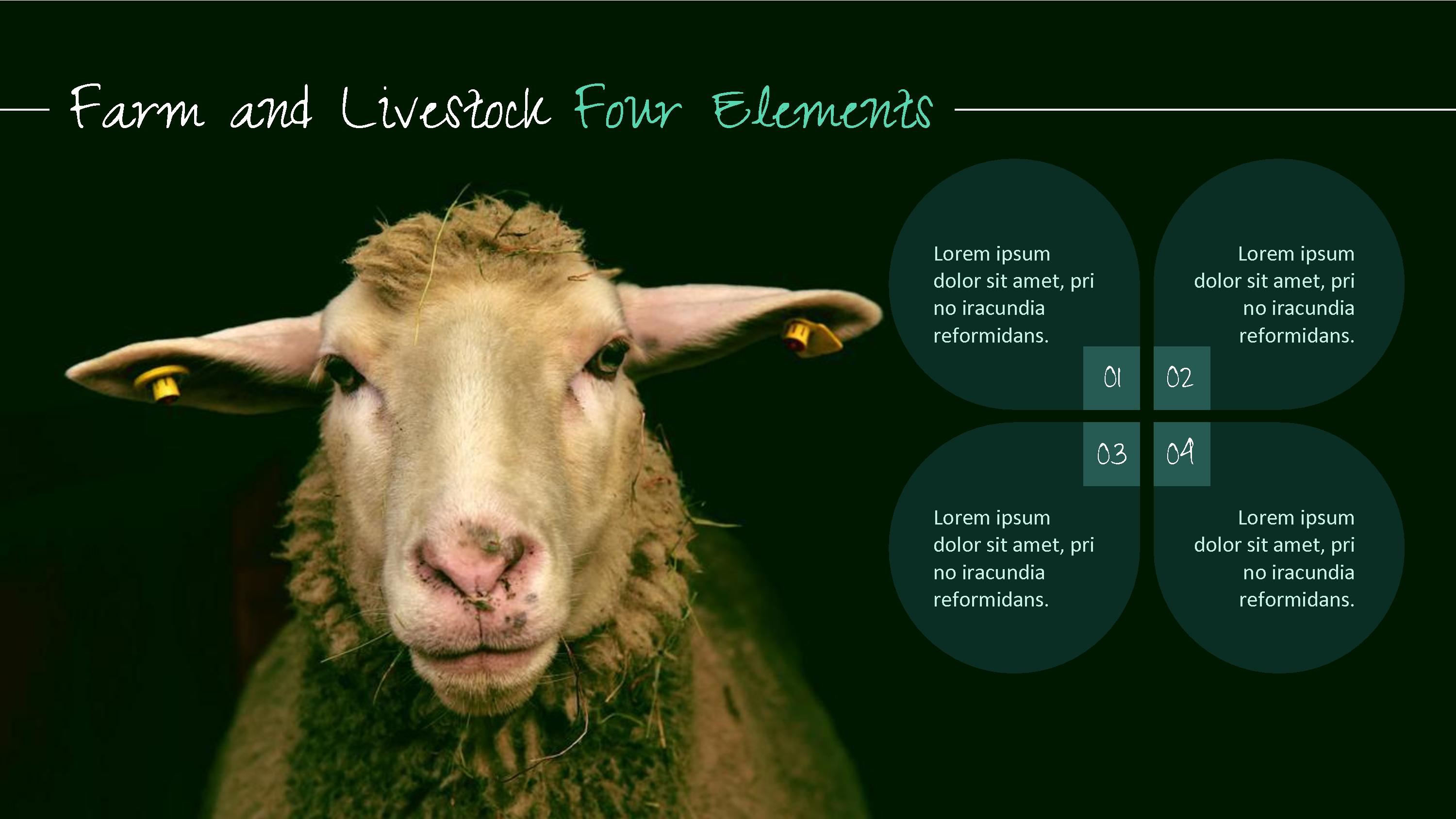 Farm and Livestock Google Slides Presentation