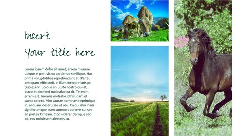 Farm and Livestock Google Slides Presentation