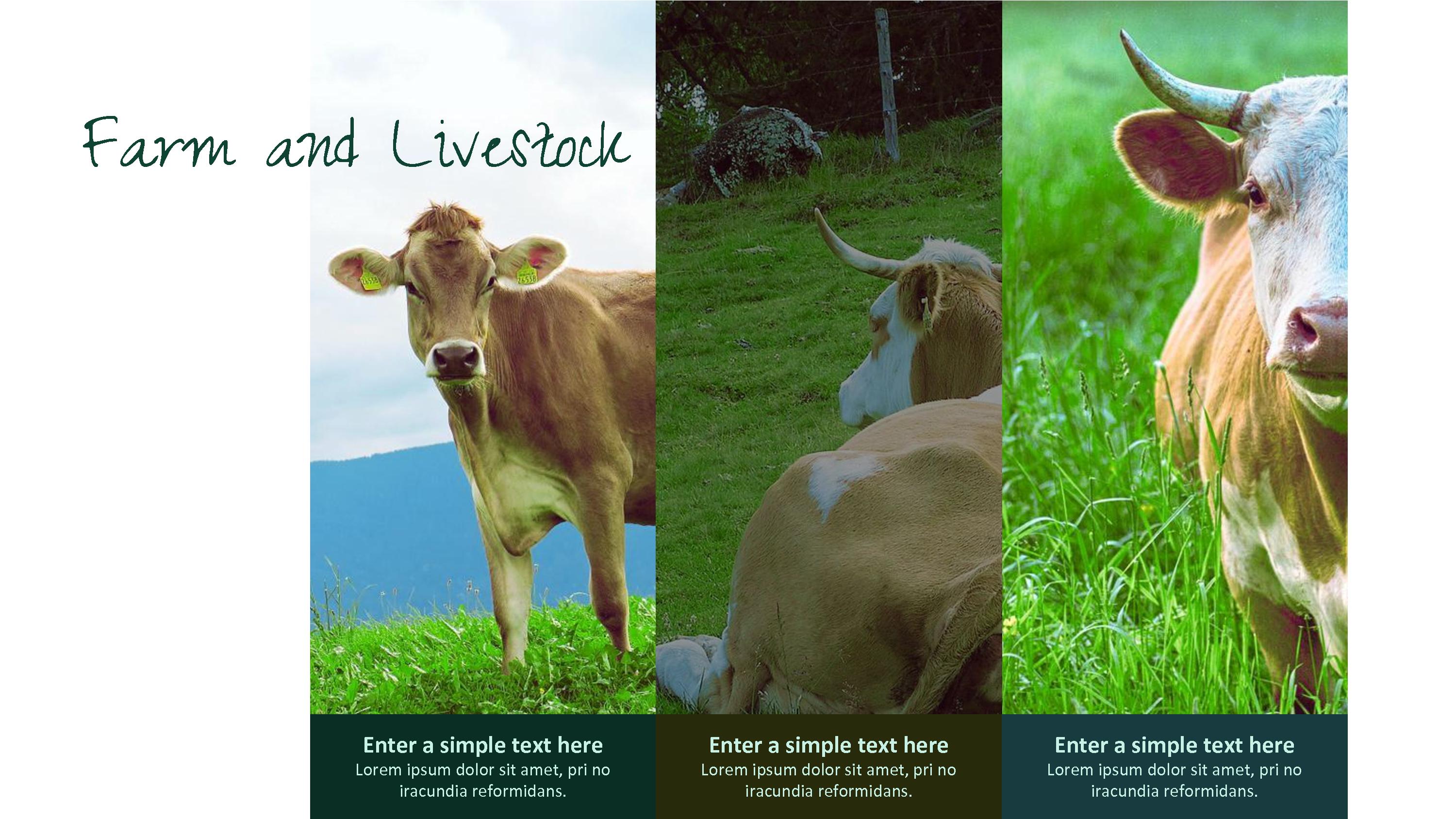 Farm and Livestock Google Slides Presentation