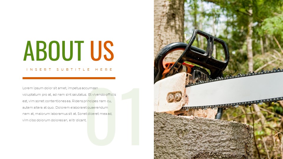 Forestry Google Slides Templates for Your Next Presentation