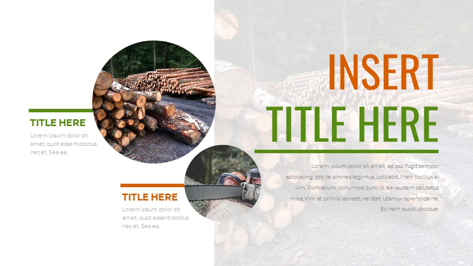 Forestry Google Slides Templates for Your Next Presentation