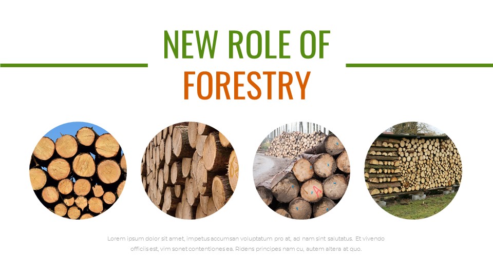Forestry Google Slides Templates for Your Next Presentation
