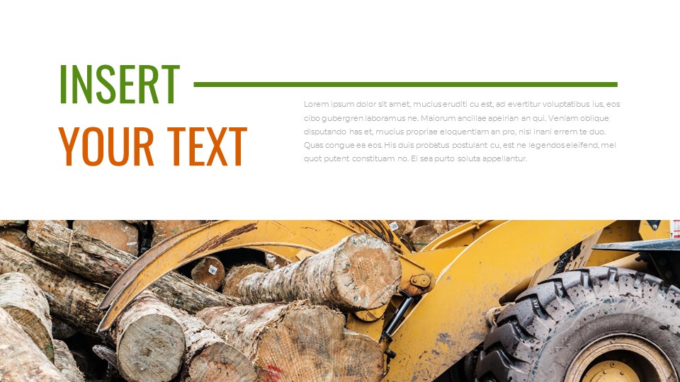 Forestry Google Slides Templates for Your Next Presentation