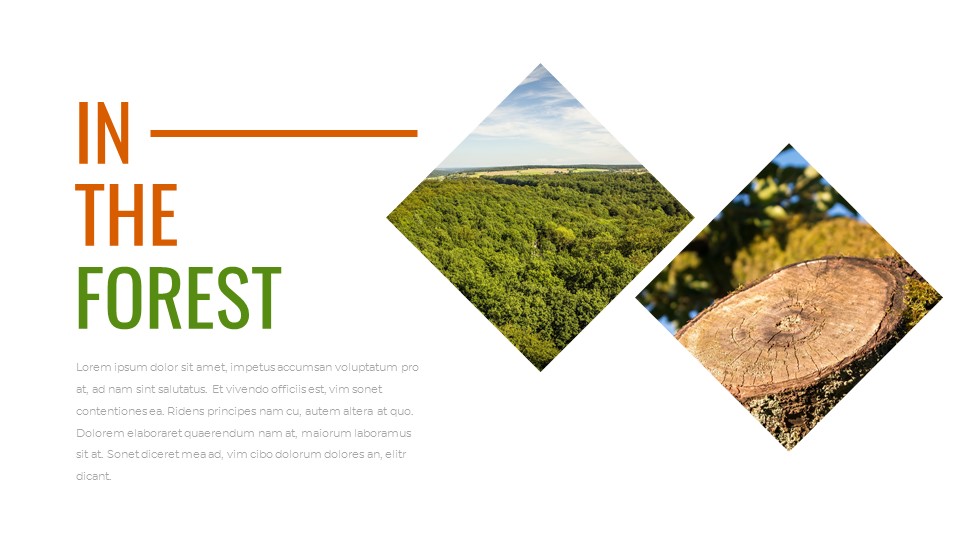 Forestry Google Slides Templates for Your Next Presentation
