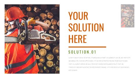 Forestry Google Slides Templates for Your Next Presentation