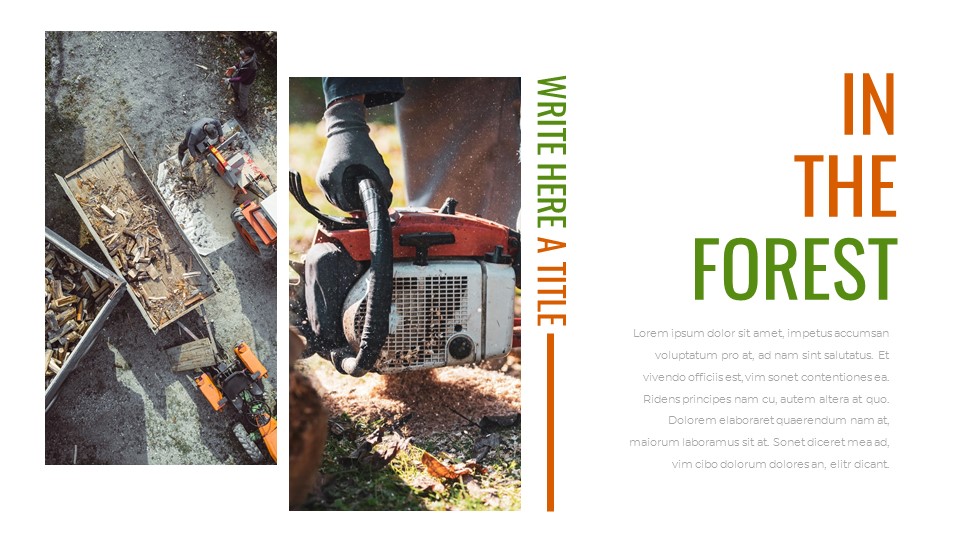 Forestry Google Slides Templates for Your Next Presentation