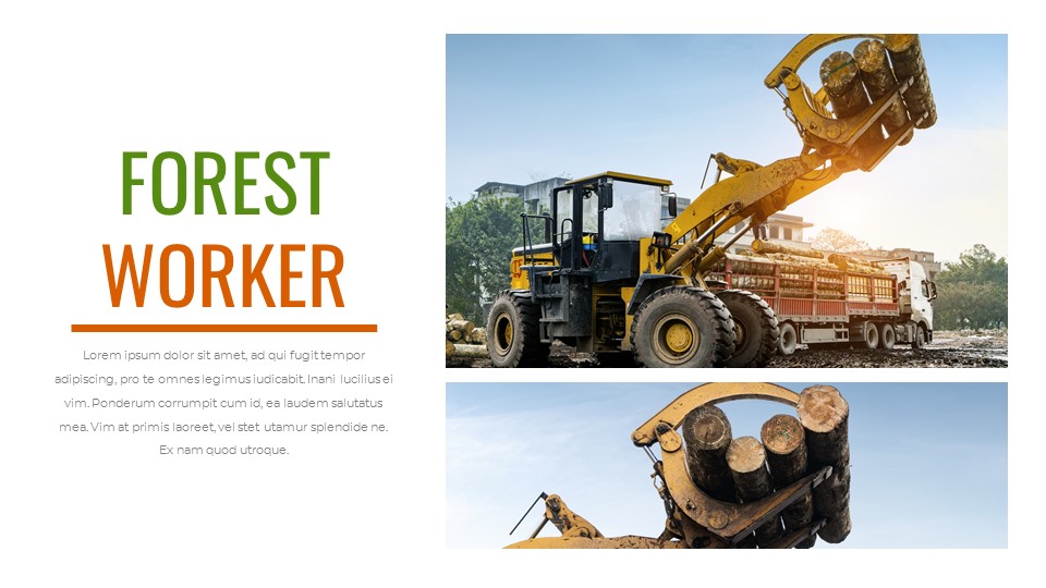 Forestry Google Slides Templates for Your Next Presentation