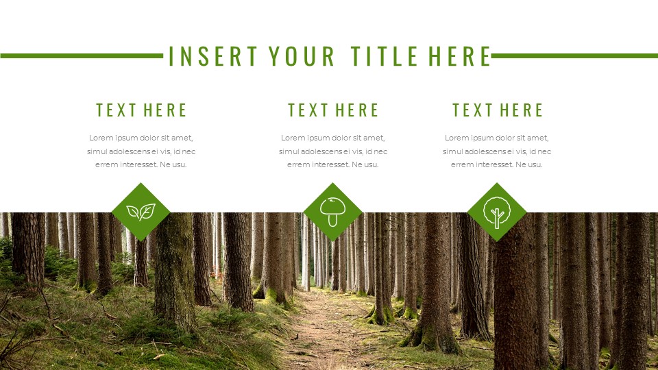 Forestry Google Slides Templates for Your Next Presentation