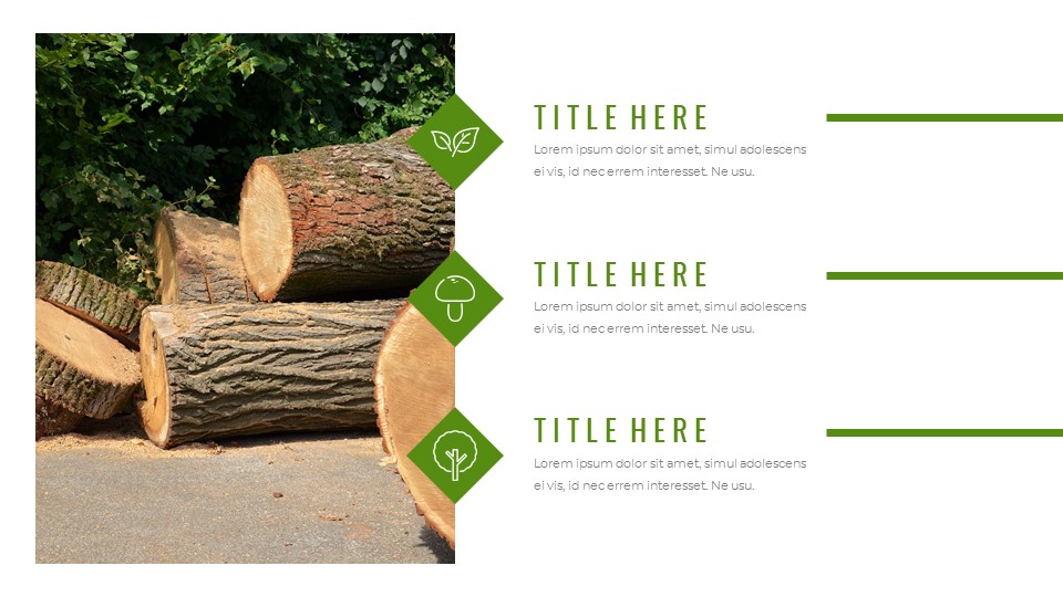 Forestry Google Slides Templates for Your Next Presentation