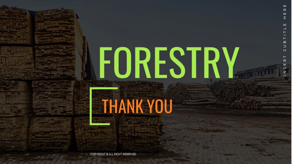 Forestry Google Slides Templates for Your Next Presentation