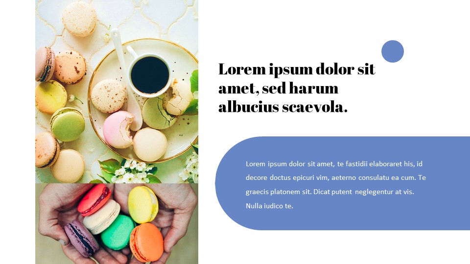 Macaron Google Slides Presentation|Food