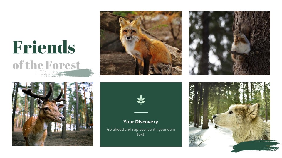 Forest Google Slides Template Design