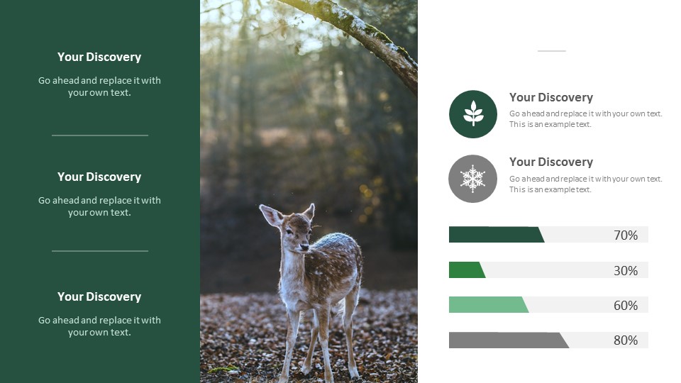 Forest Google Slides Template Design