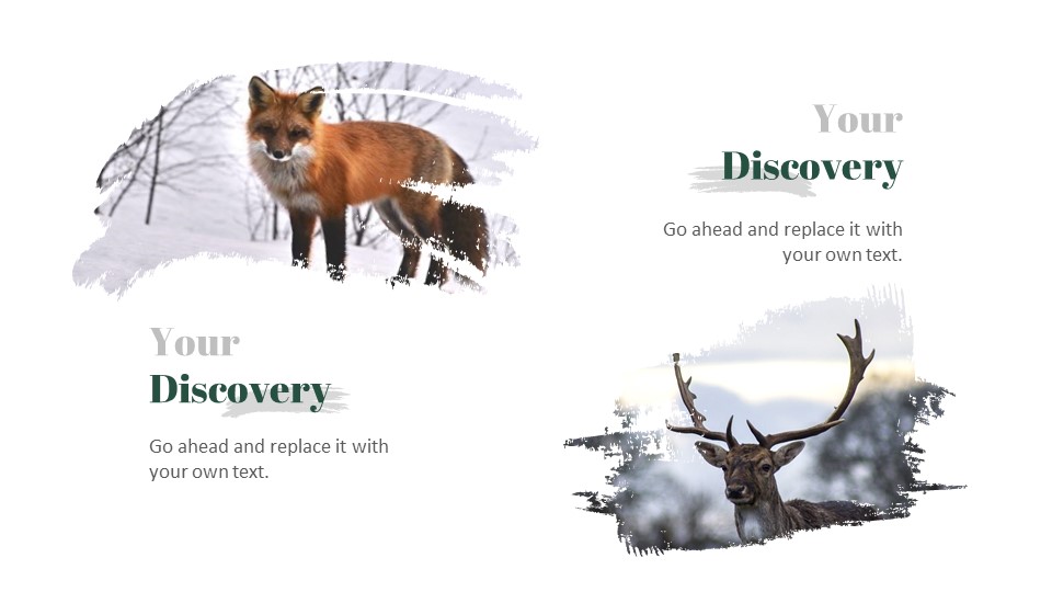 Forest Google Slides Template Design