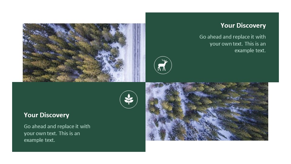 Forest Google Slides Template Design
