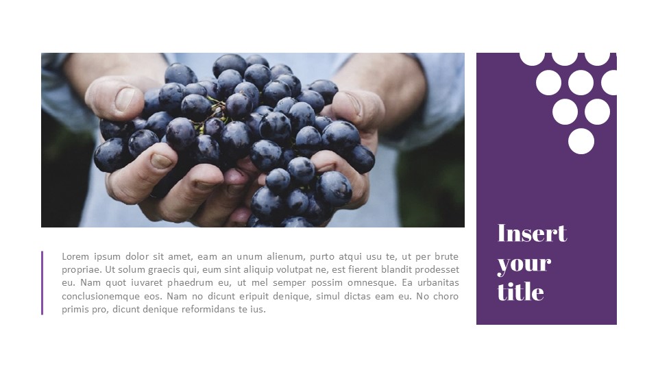 Winery Google Slides Templates for Your Next Presentation