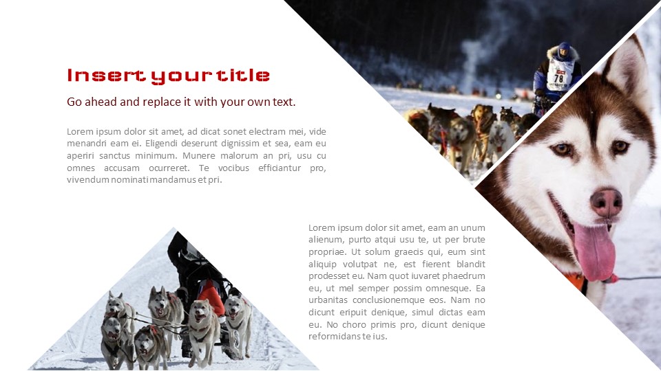 Winter Sports Google Slides Templates