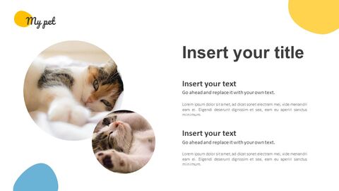 My Pet Google Presentation Slides