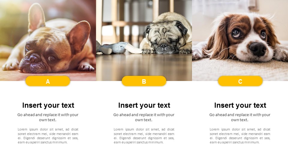 My Pet Google Presentation Slides