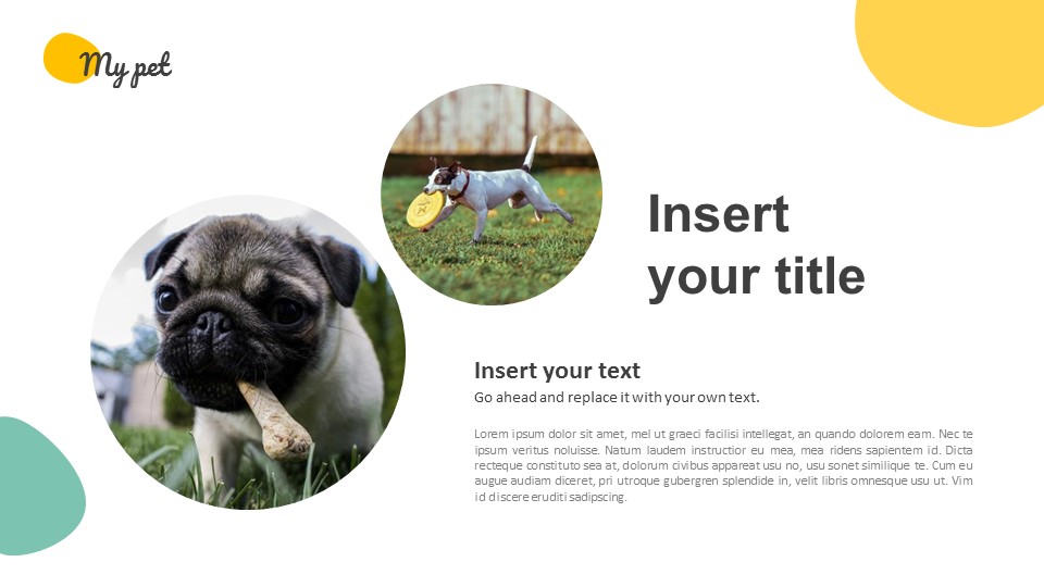 My Pet Google Presentation Slides