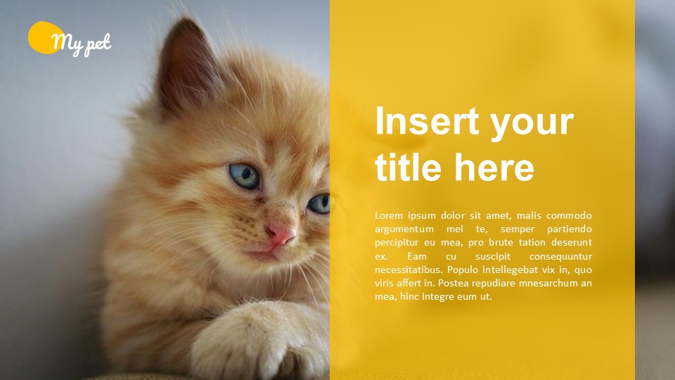 My Pet Google Presentation Slides