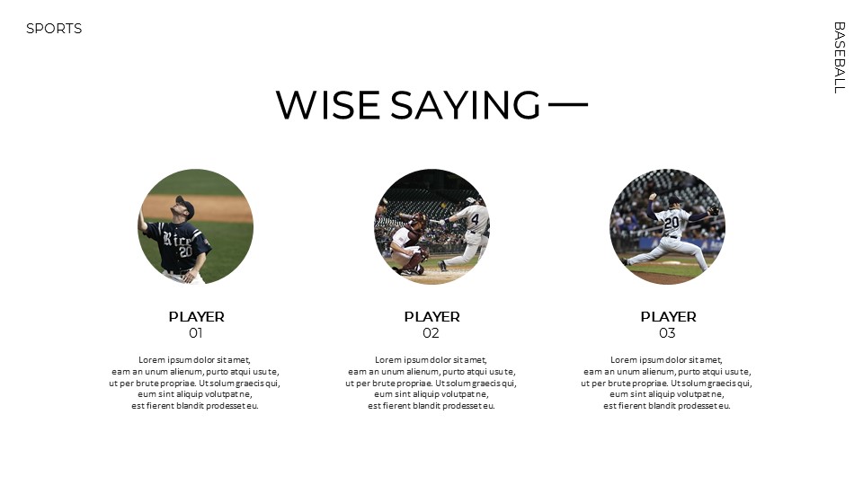 Let’s Play Baseball Game Google Presentation Templates