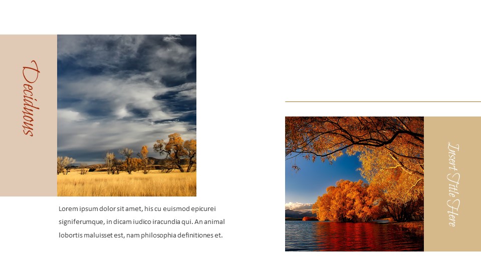 Fall Easy Google Slides