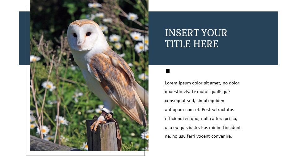 Owl Easy Google Slides Template