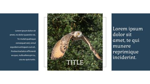 Owl Easy Google Slides Template
