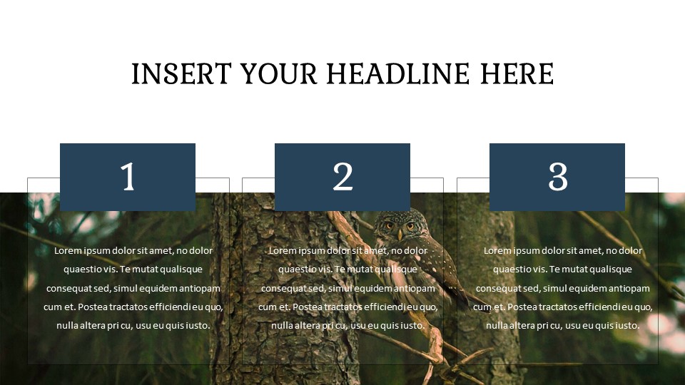 Owl Easy Google Slides Template