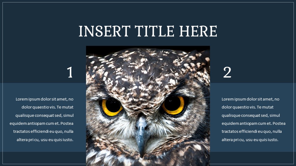 Owl Easy Google Slides Template