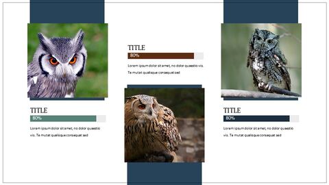 Owl Easy Google Slides Template