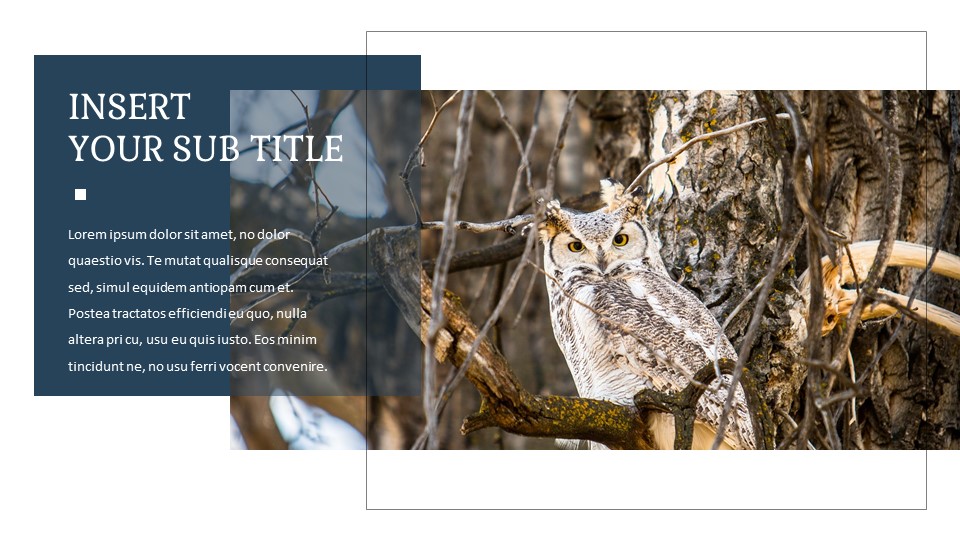 Owl Easy Google Slides Template
