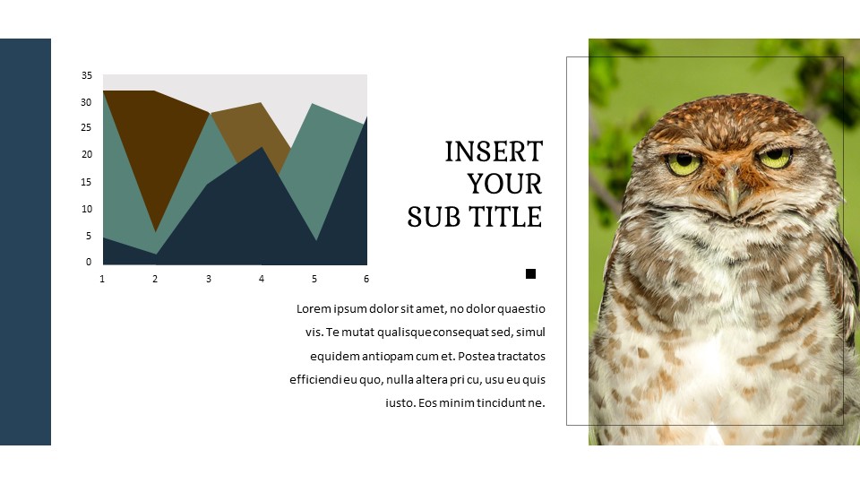 Owl Easy Google Slides Template
