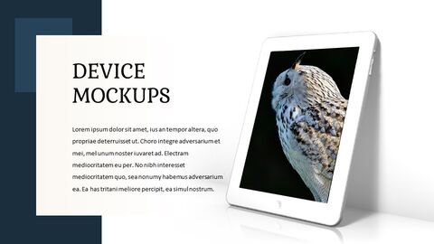 Owl Easy Google Slides Template