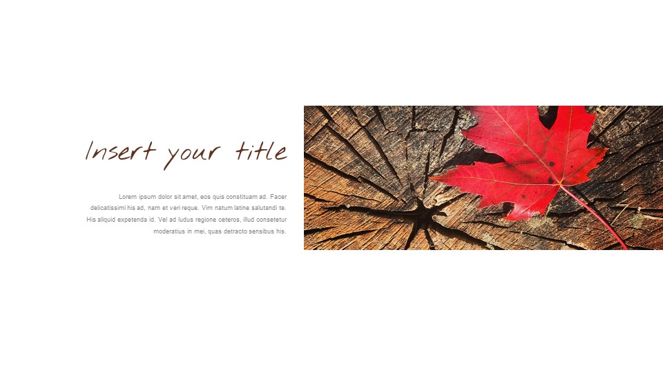 Autumn Season Google Slides Presentation Templates