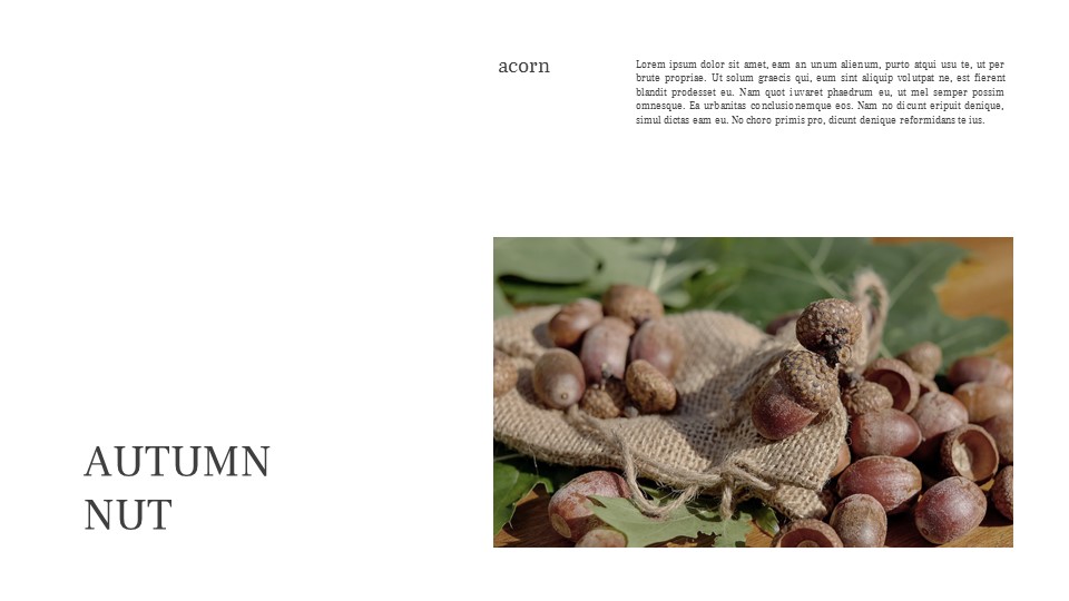 AUTUMN Simple Google Templates