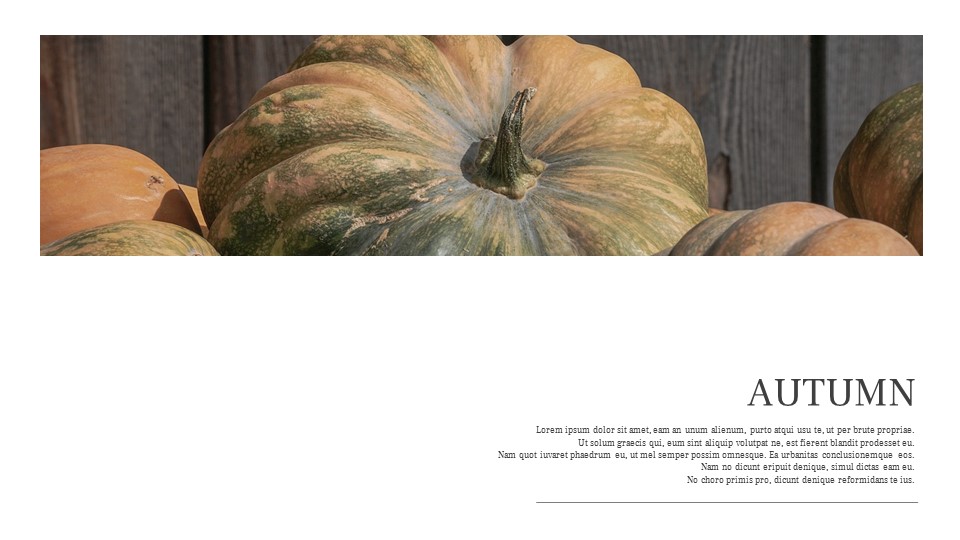 AUTUMN Simple Google Templates