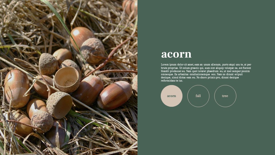 AUTUMN Simple Google Templates