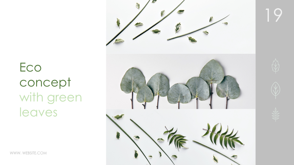 Eco Concept PowerPoint to Keynote