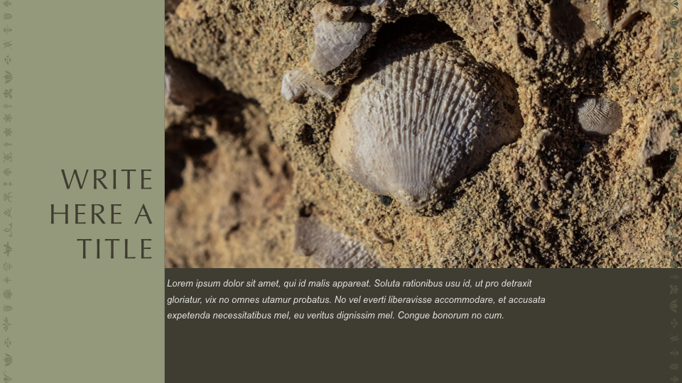 Fossil Ultimate Keynote Template