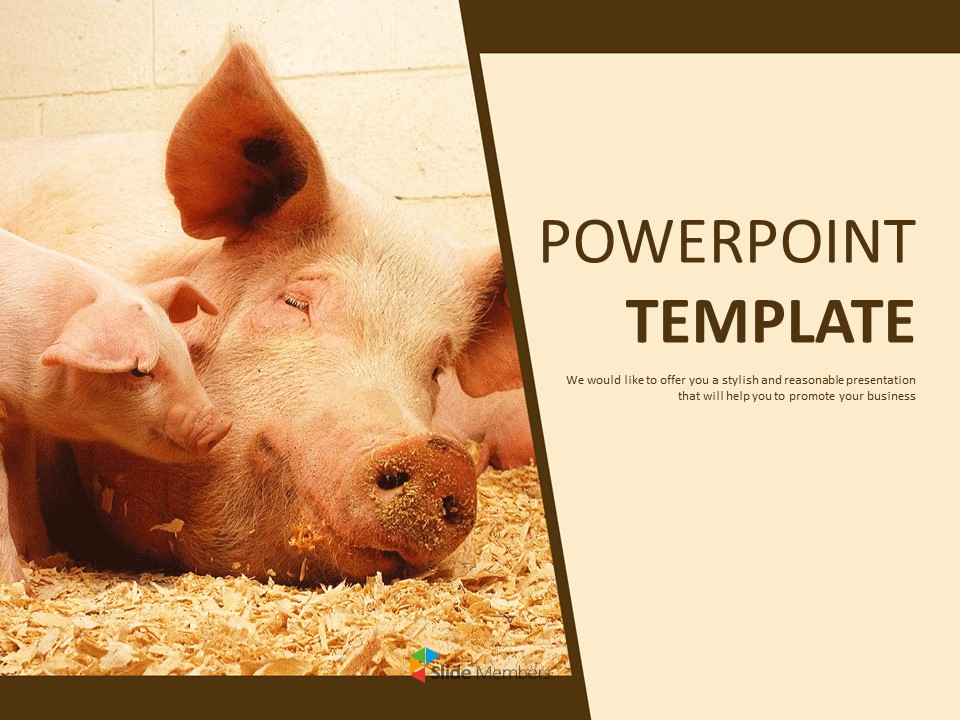 Gratis Plantillas gratuitas de Presentaciones de Google - Granja de cerdos