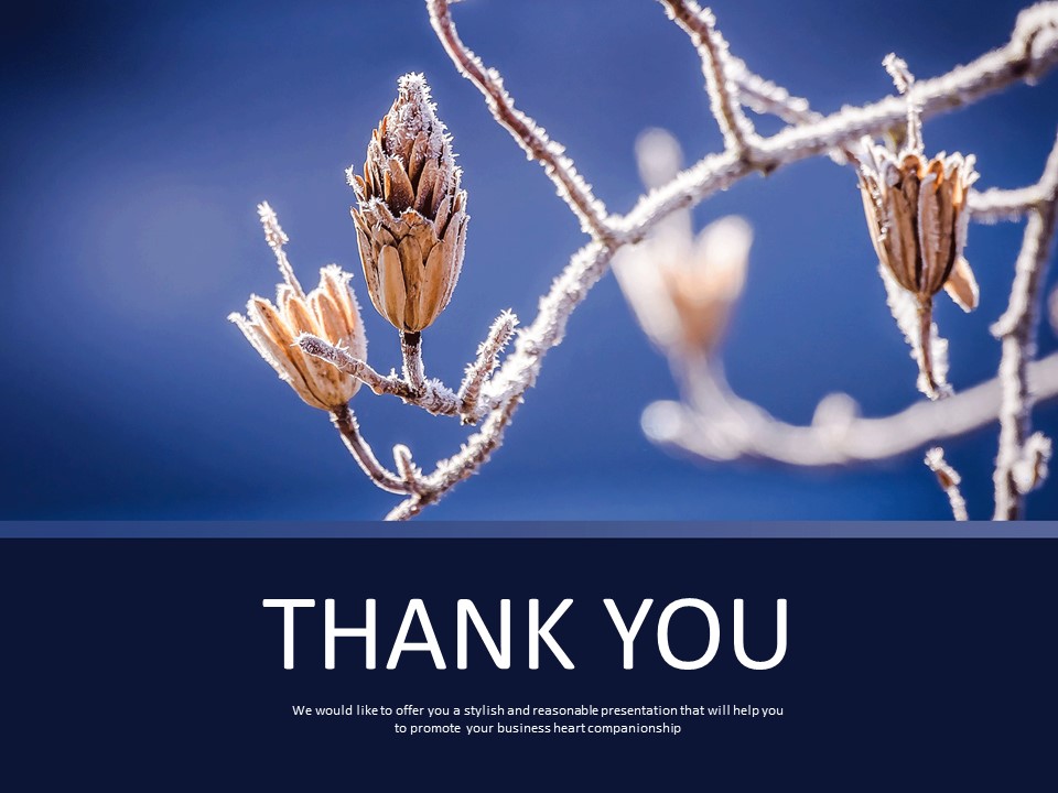 January winter leaves - Google Slides Template Free