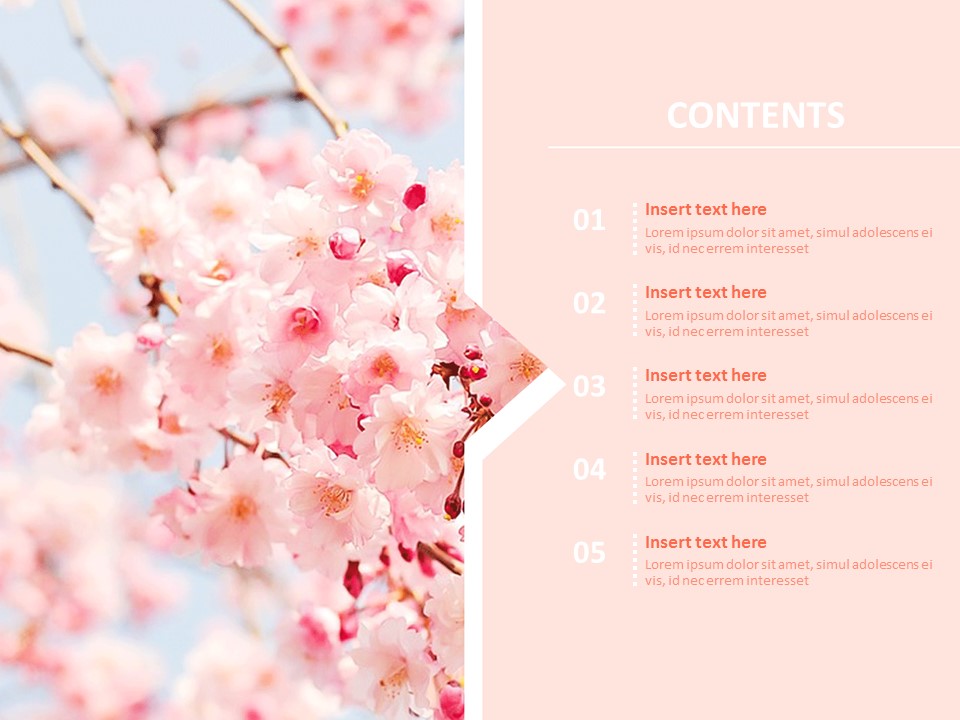Cherry Blossom Ending - Free Images for Google Slides