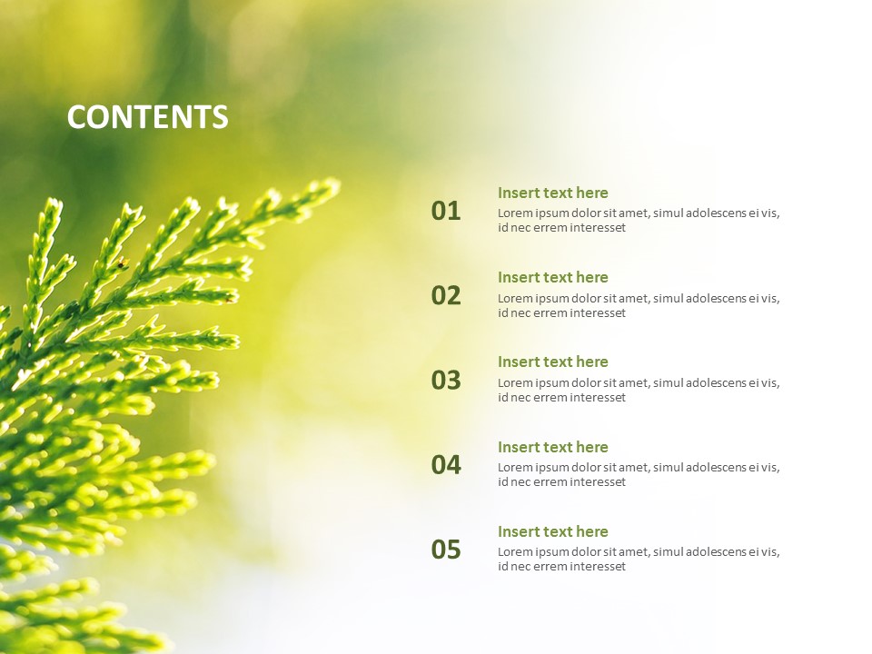 Google Slides Template Free - Yellowgreen Leaves As Actual Image